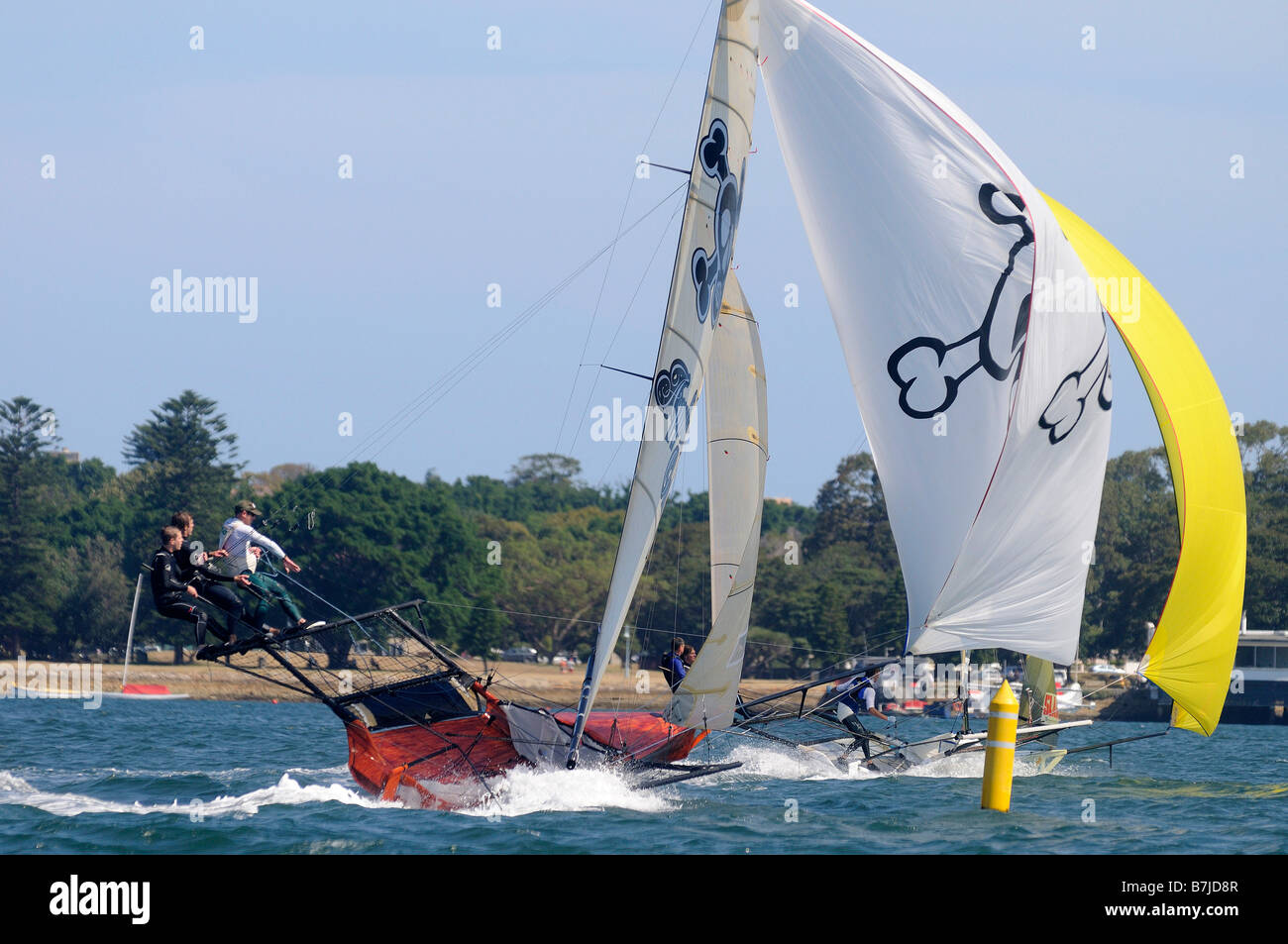 18ft Skiff racing in Sydney harbour australia Stock Photo - Alamy
