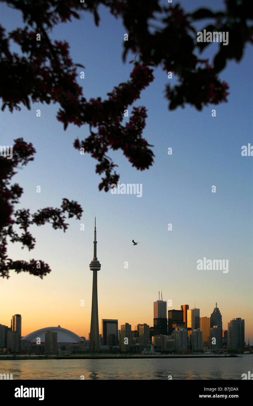 Rogers Centre, CN Tower & Downtown, Toronto, Ontario, Canada Stock ...