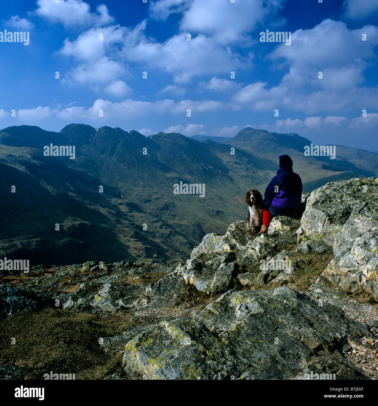 Climber with dog from top of Pike of Blisco Cumbria UK Stock Photo - Alamy