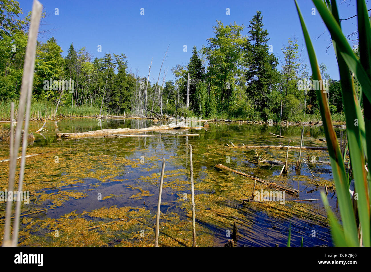 Campbellville hi-res stock photography and images - Alamy