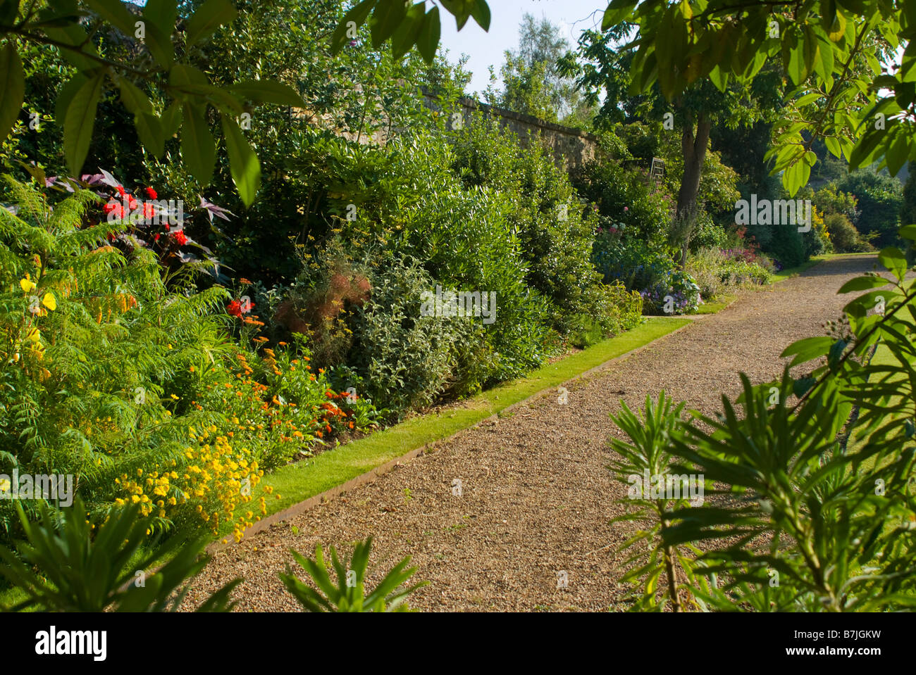 Flowers in Oxford Stock Photo - Alamy