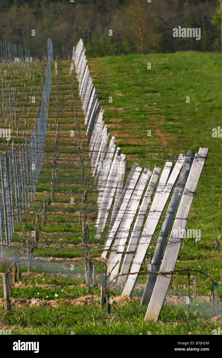 Vineyard posts hi-res stock photography and images - Alamy