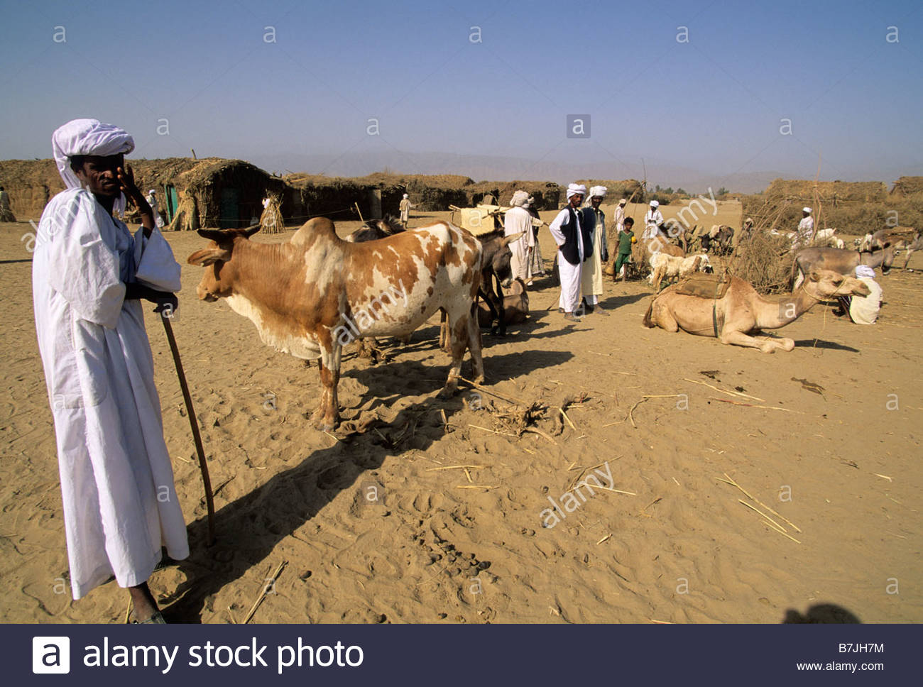 Rashaida People High Resolution Stock Photography and Images - Alamy