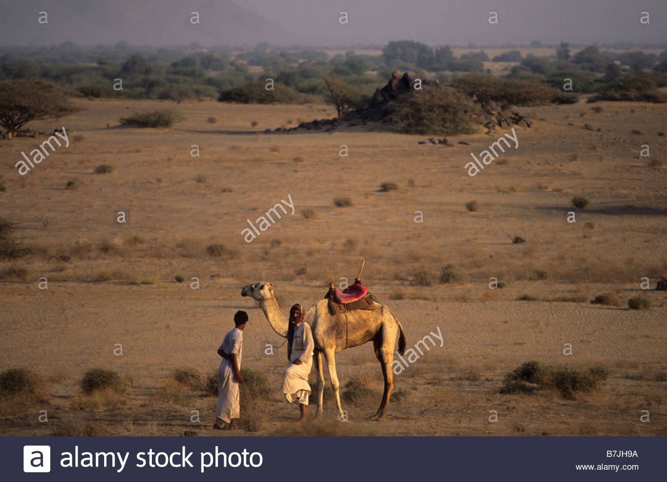 Rashaida People High Resolution Stock Photography and Images - Alamy