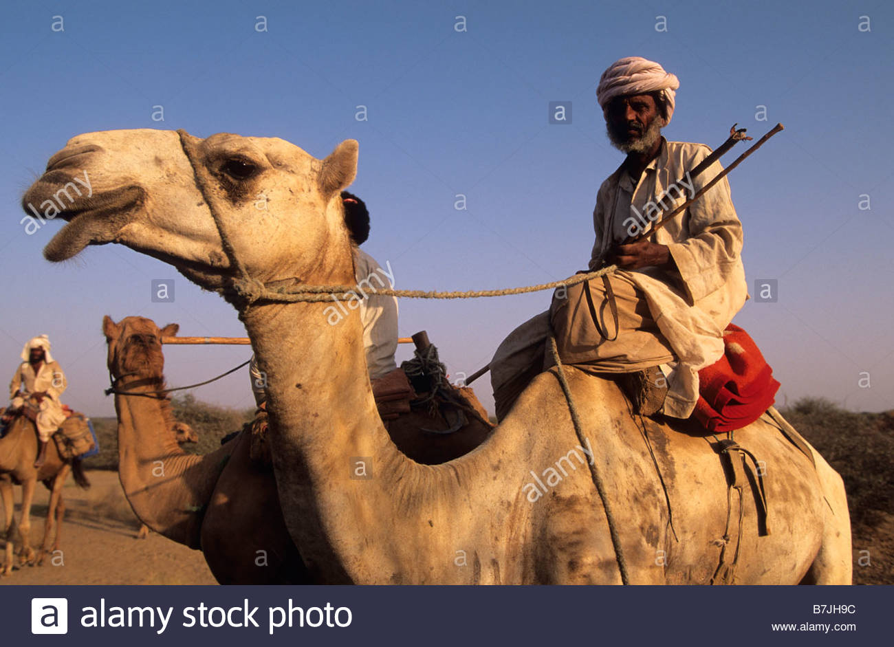 Rashaida People High Resolution Stock Photography and Images - Alamy