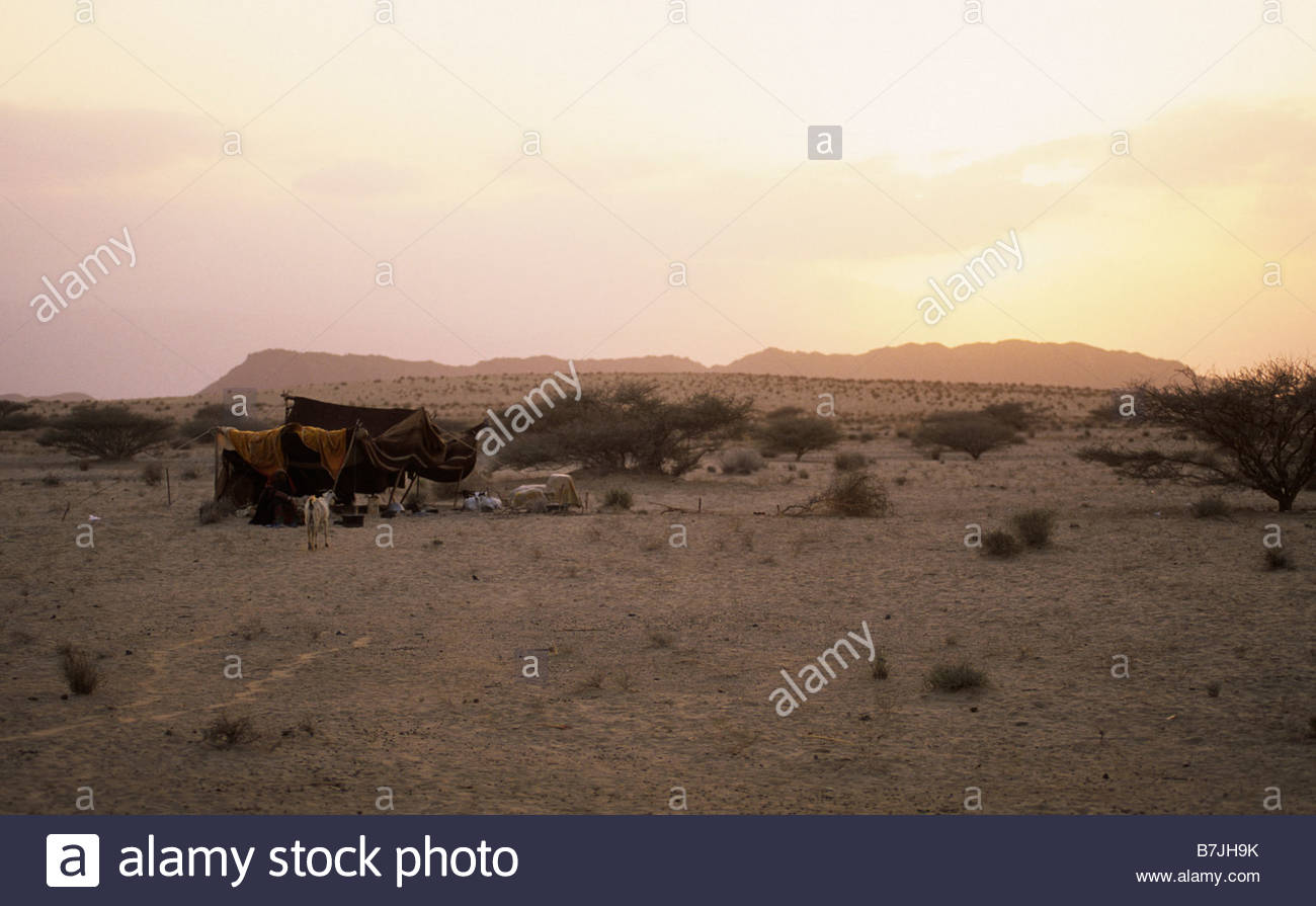 Rashaida People High Resolution Stock Photography and Images - Alamy