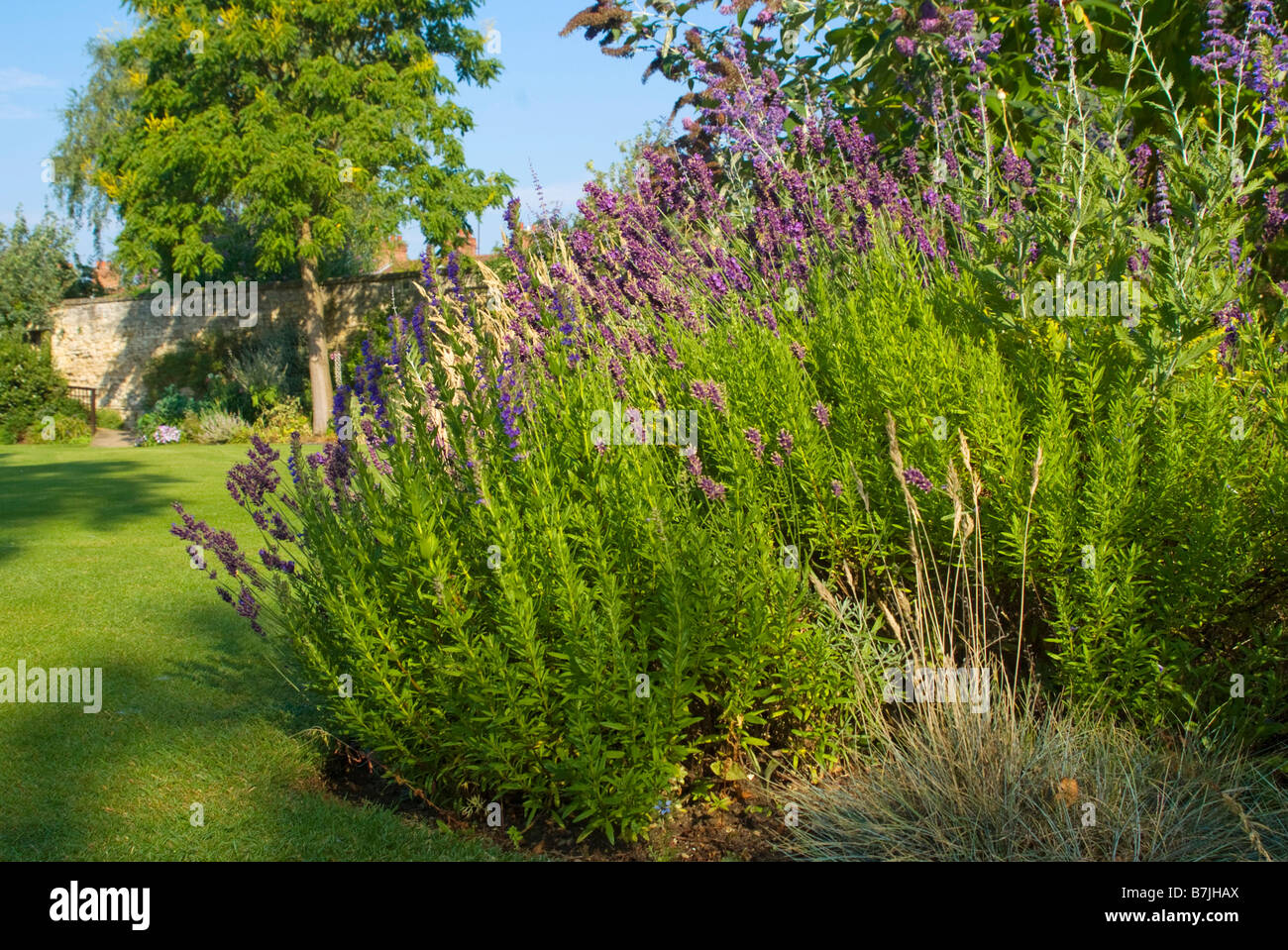 Flowers in Oxford Stock Photo - Alamy