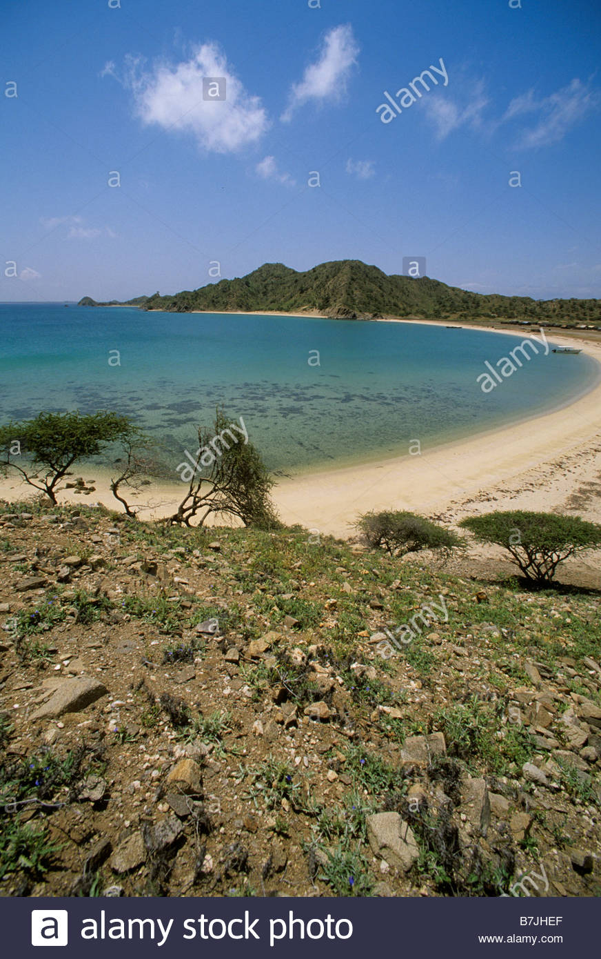 Dahlak High Resolution Stock Photography and Images - Alamy