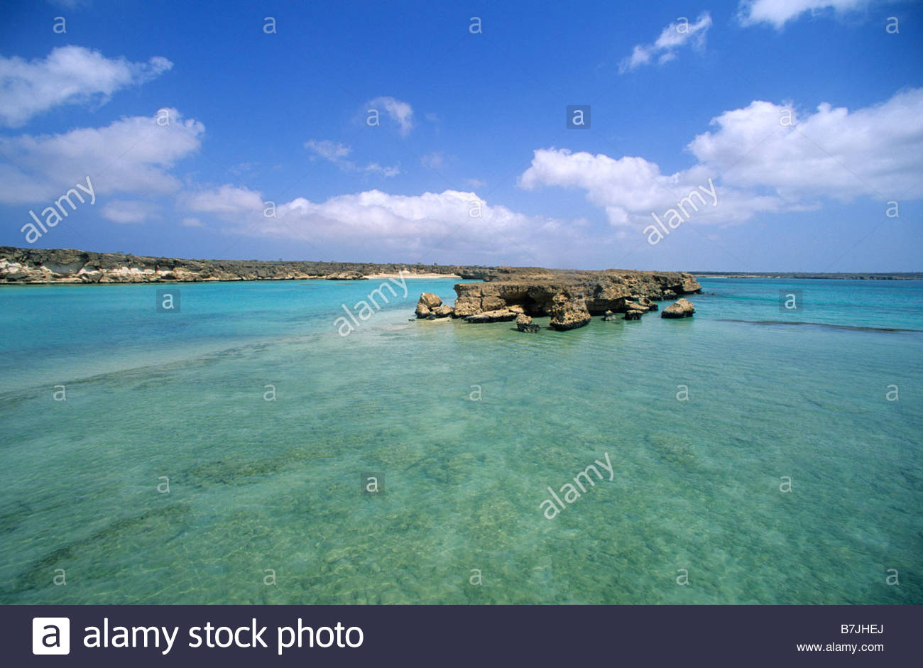 Dahlak High Resolution Stock Photography and Images - Alamy