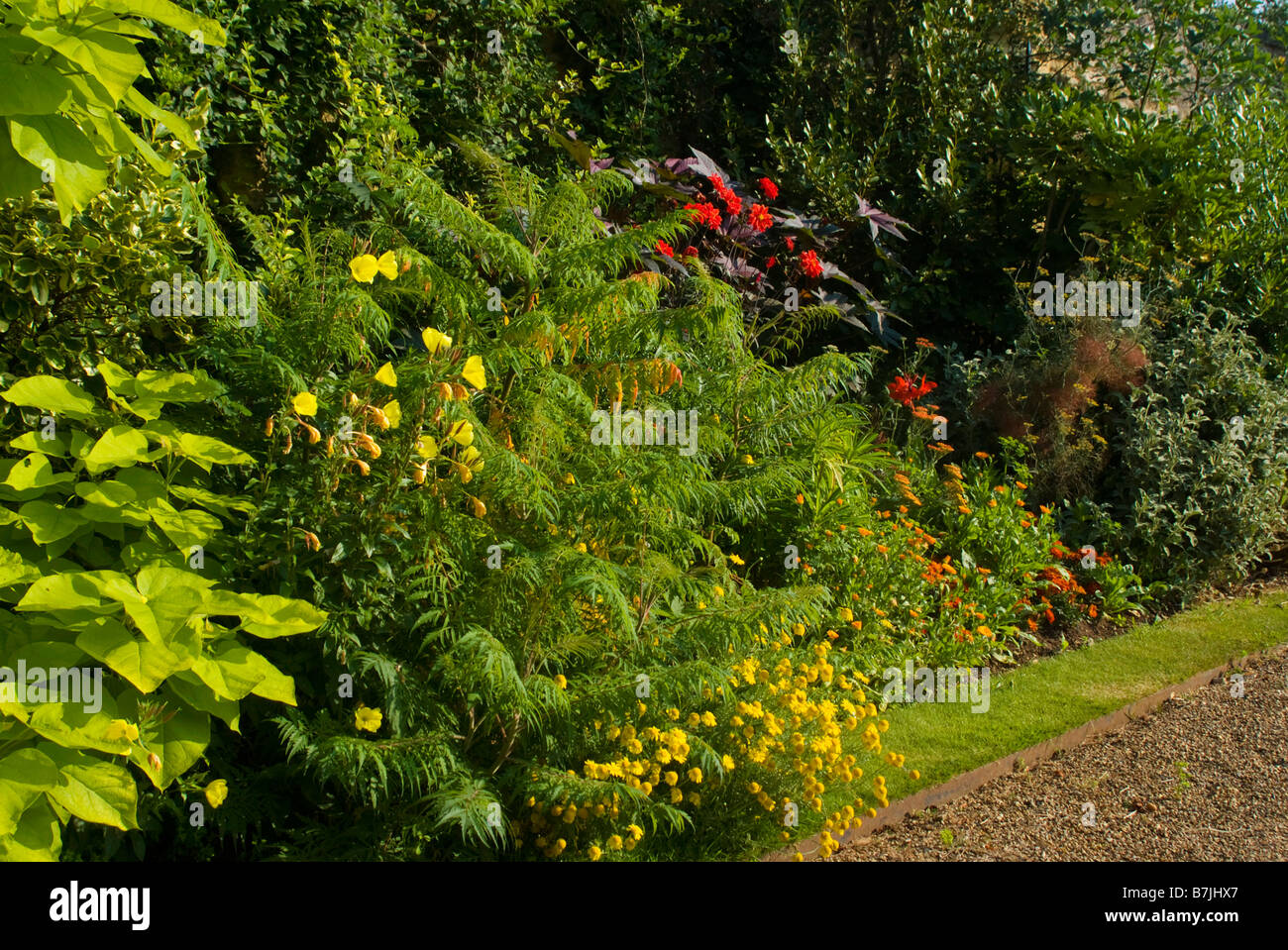 Flowers in Oxford Stock Photo - Alamy