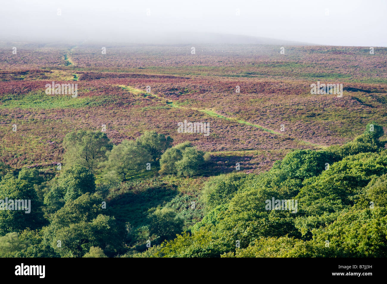 A path leading up to Dunkery Beacon, the highest point on Exmoor ...