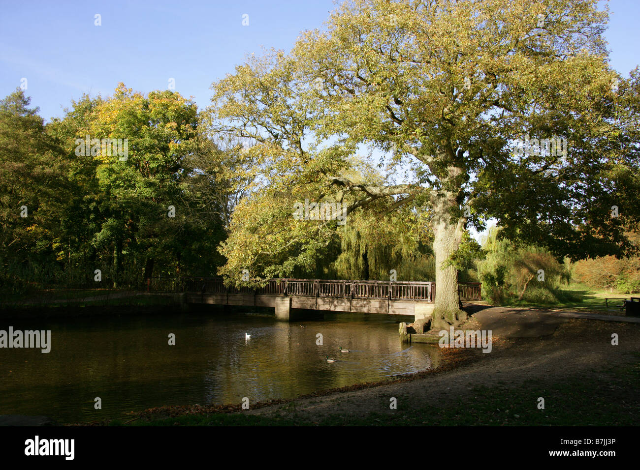 Colne park hertfordshire hi-res stock photography and images - Alamy
