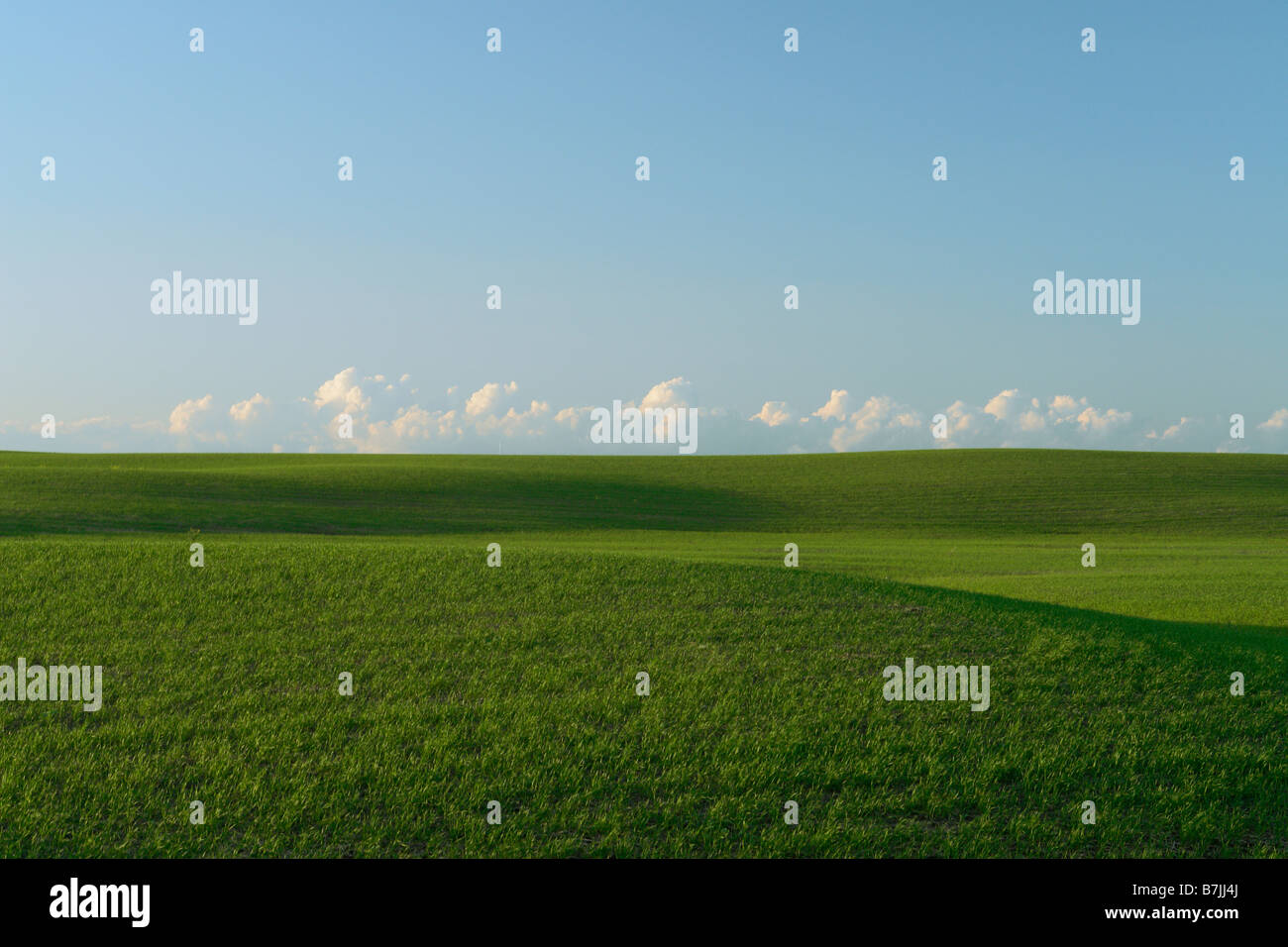 Springtime green fields.; Canada, Manitoba, Erickson Stock Photo - Alamy