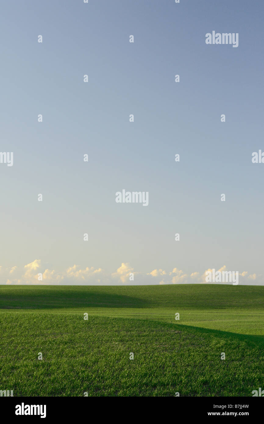 Springtime green fields.; Canada, Manitoba, Erickson Stock Photo - Alamy