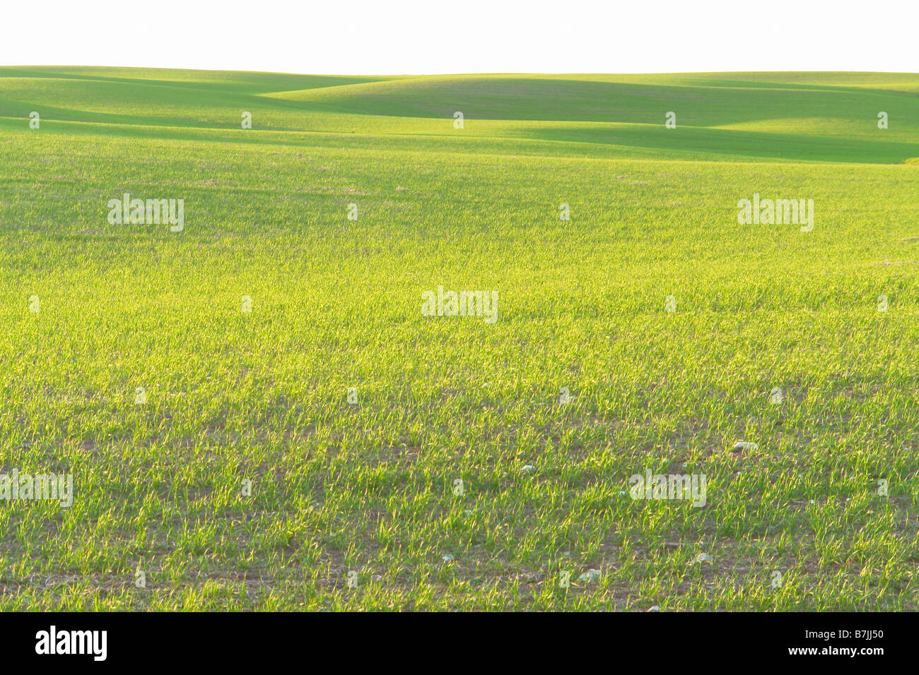 Manitoba Erickson High Resolution Stock Photography and Images - Alamy