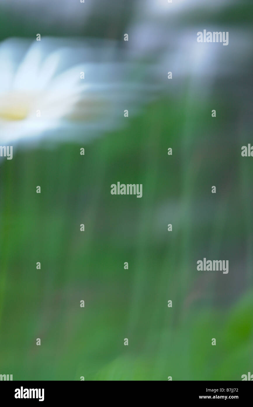 Manitoba Erickson High Resolution Stock Photography and Images - Alamy