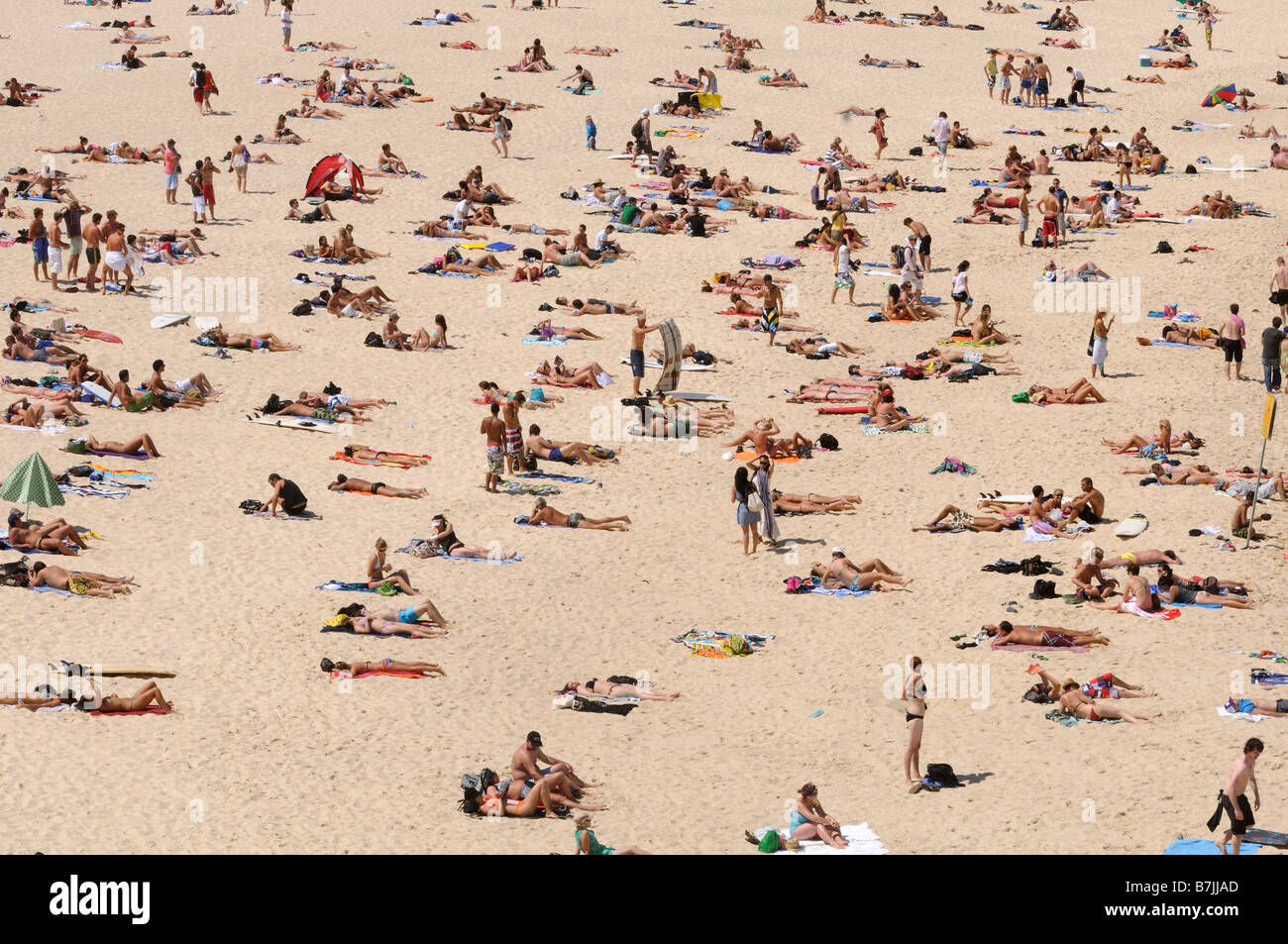 Sunbathers on bondi beach australia hi-res stock photography and images ...