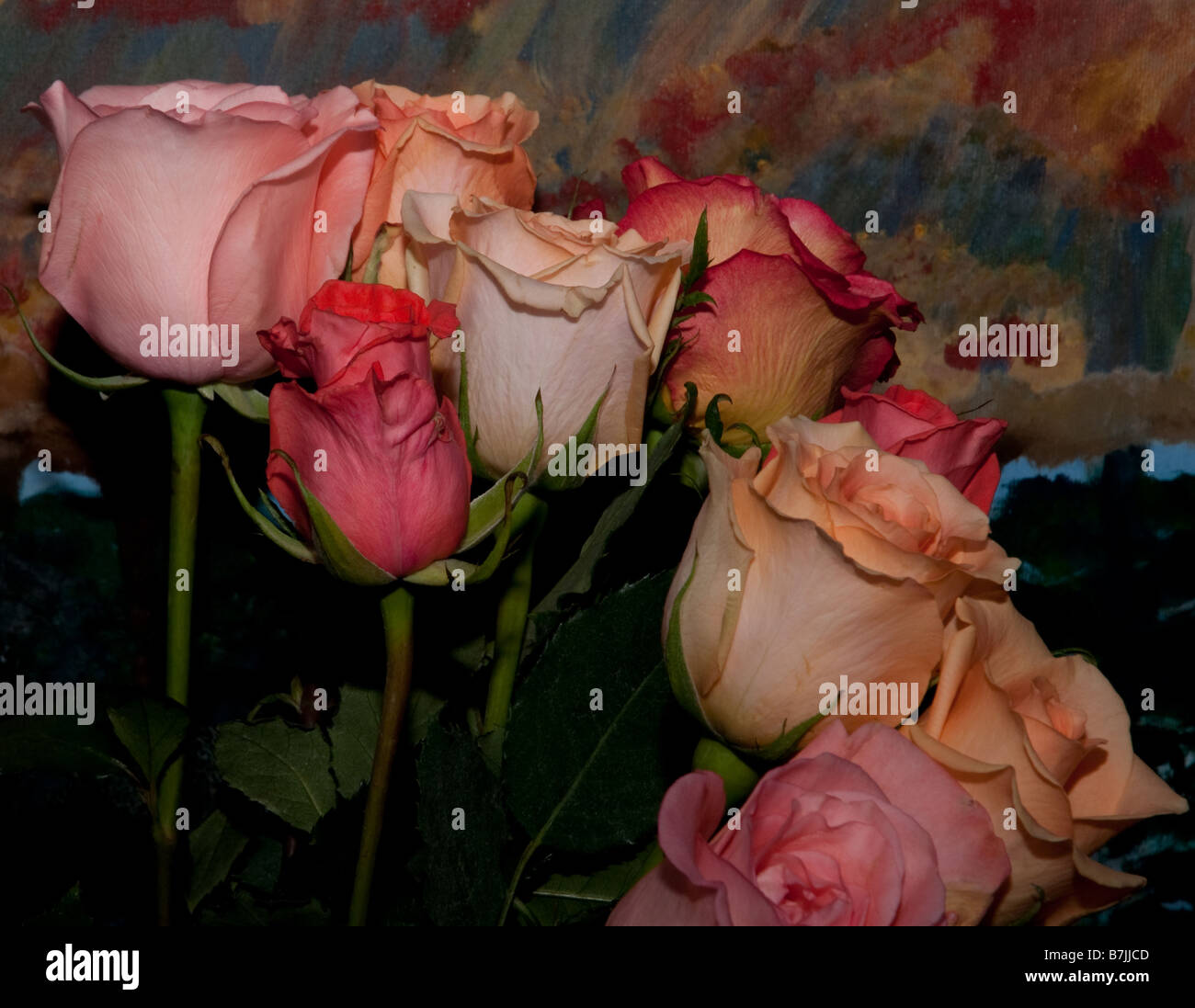 Long exposure macro rose Stock Photo - Alamy