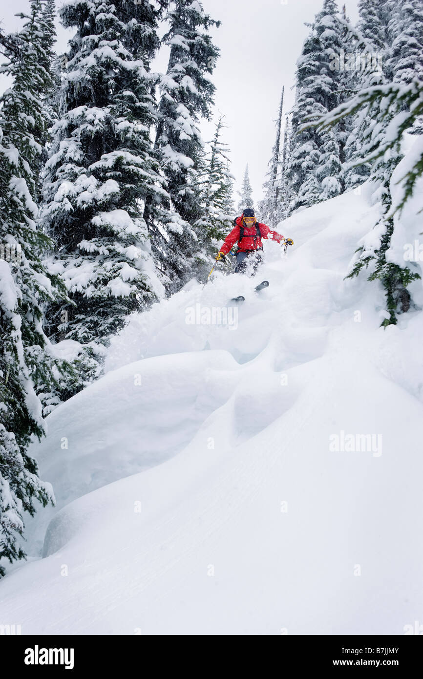 Images skier hi-res stock photography and images - Alamy