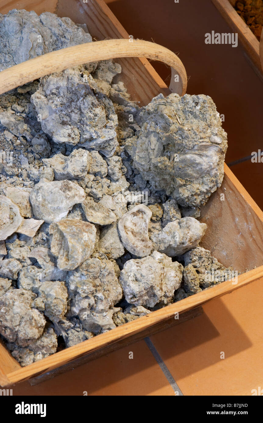 Soil sample hi-res stock photography and images - Alamy