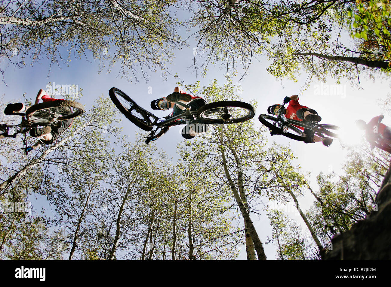 Under a series of bikers mid-jump; Canada Olympic Park, Calgary, AB ...