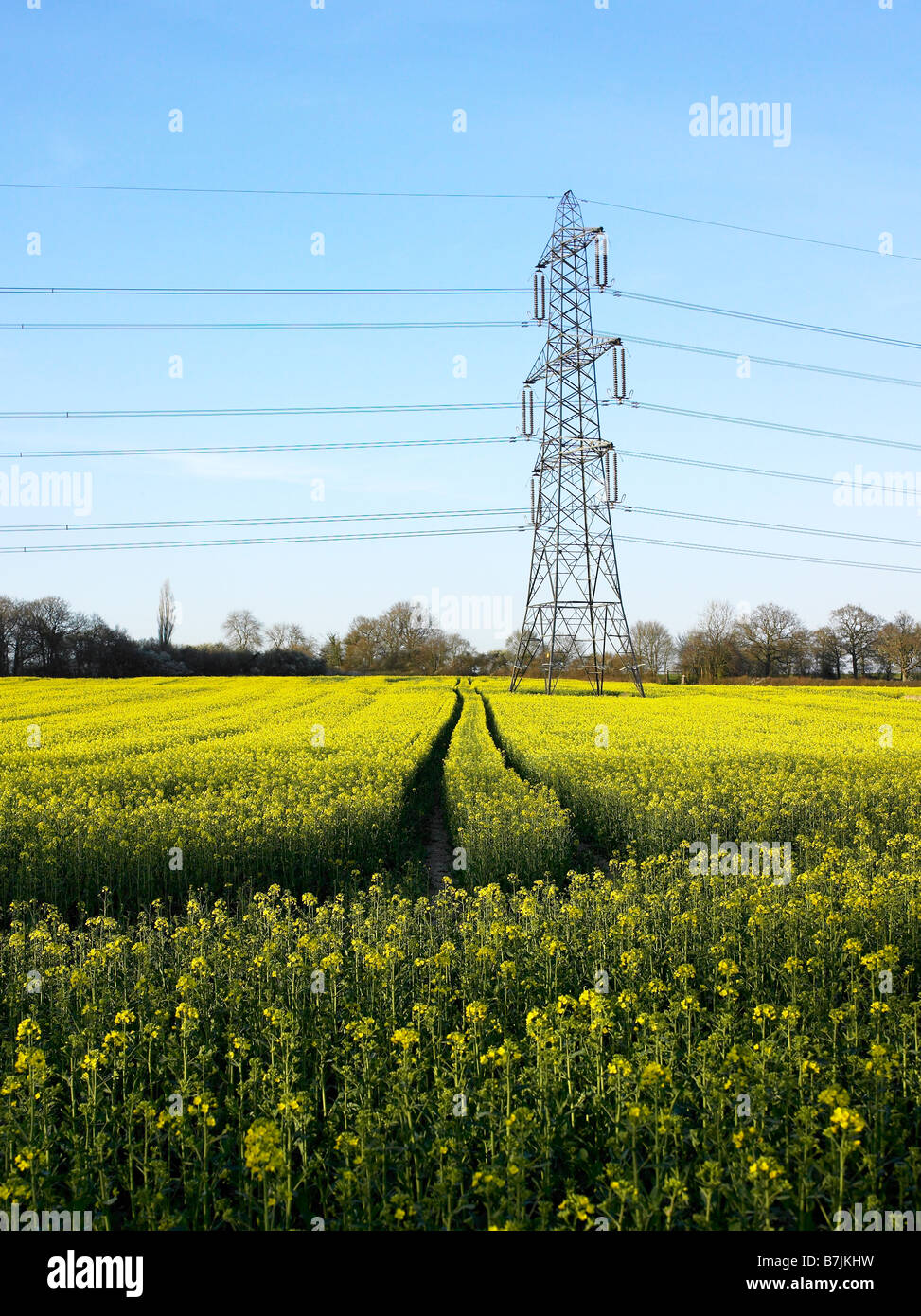 Yellow field with pylon Stock Photo - Alamy
