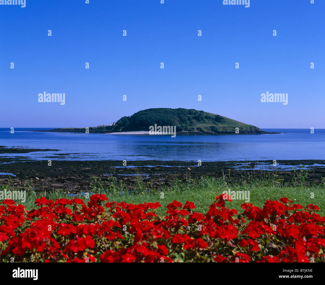 Looe island Cornwall UK Stock Photo - Alamy