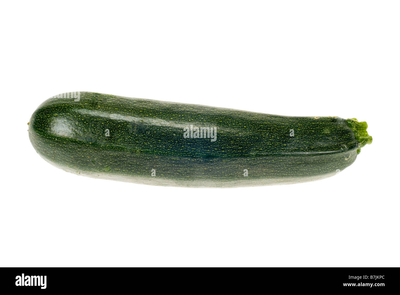 fresh zucchini isolated on a white background Stock Photo - Alamy
