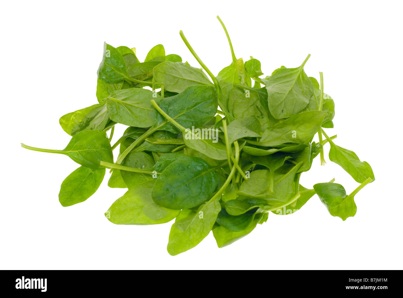 fresh spinach leaves isolated on a white background Stock Photo - Alamy