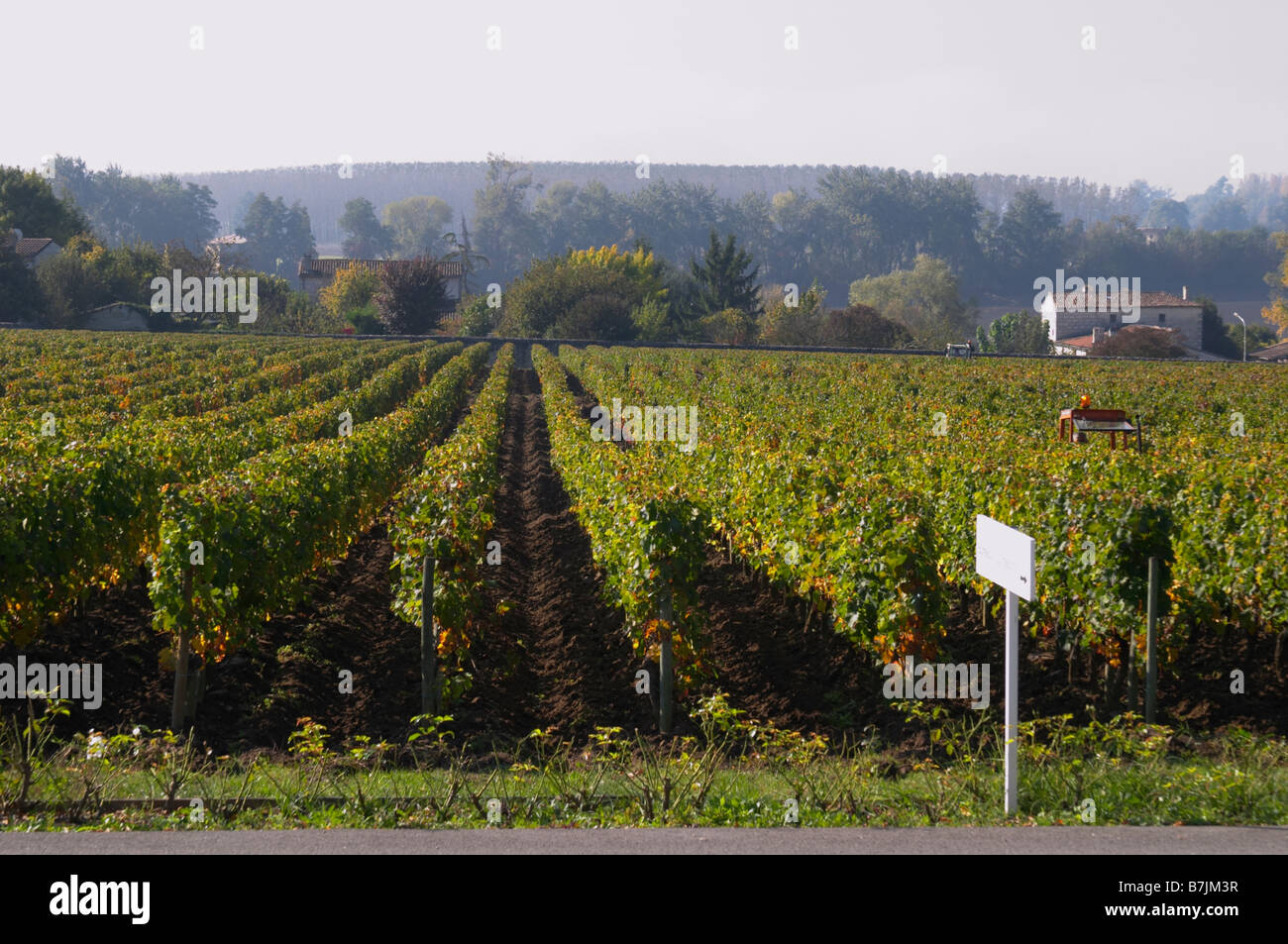 Fronsac vineyards hi-res stock photography and images - Alamy