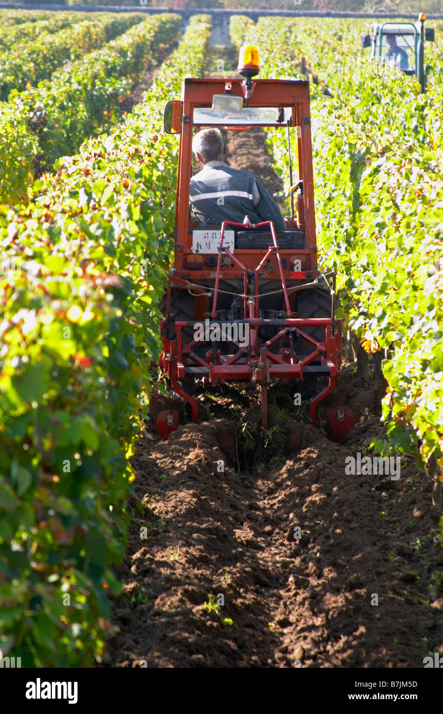 Fronsac vineyards hi-res stock photography and images - Alamy