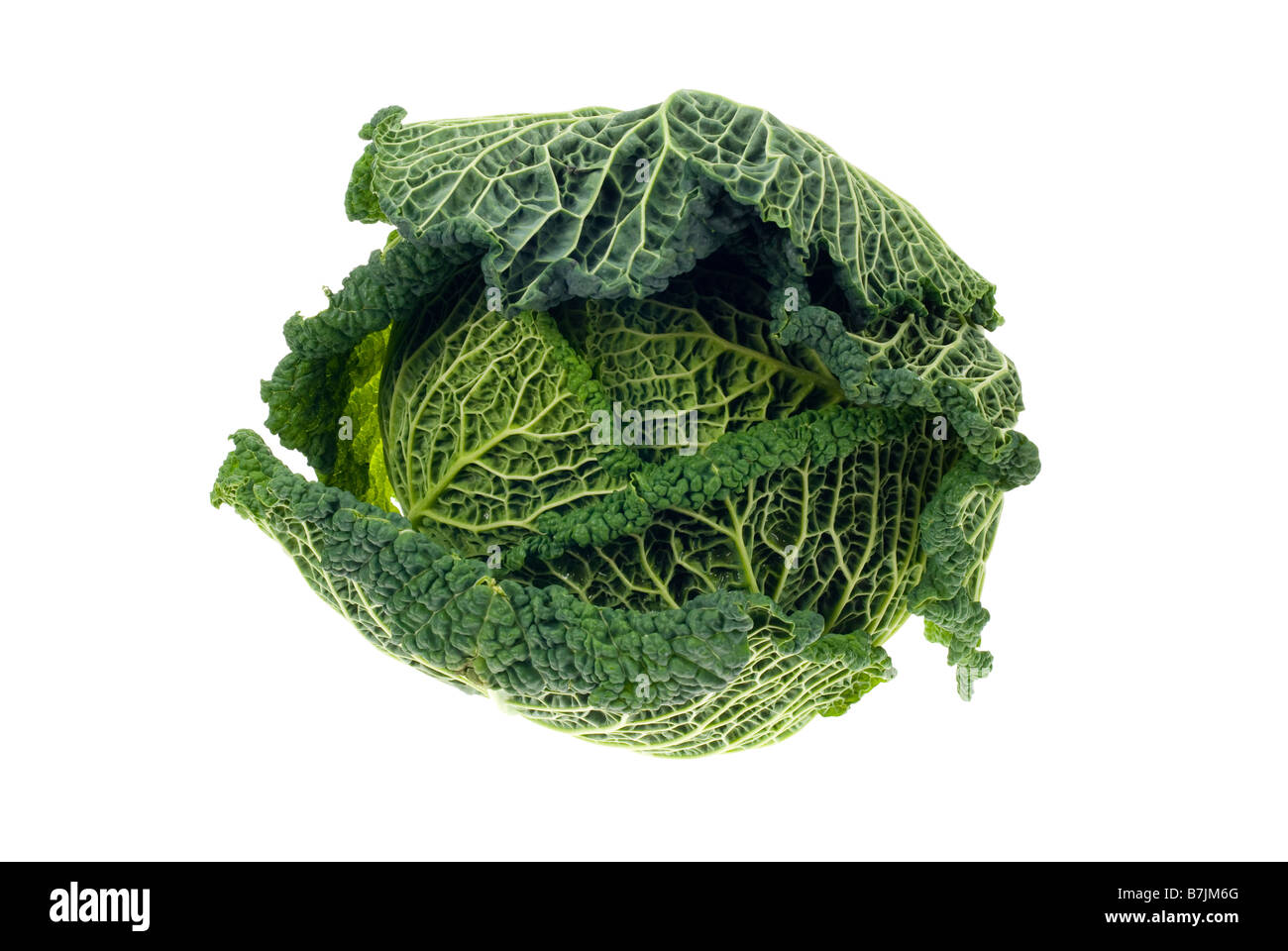 fresh kale isolated on a white background Stock Photo - Alamy