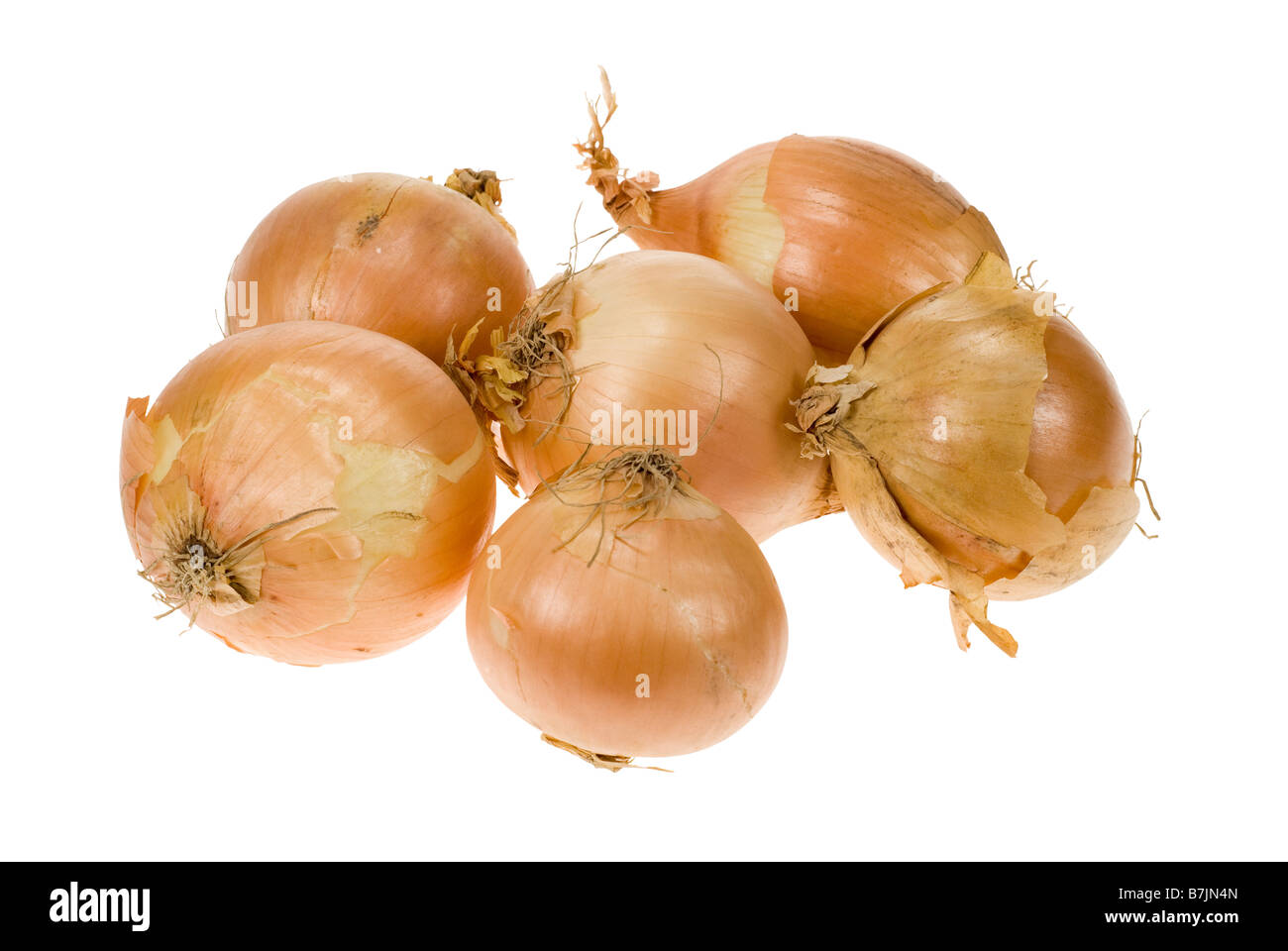 Closeup on spring onion roots hi-res stock photography and images - Alamy