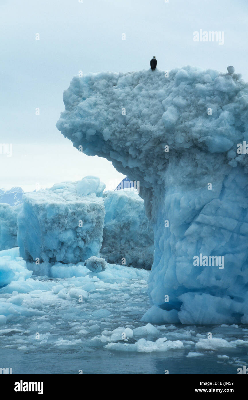 Snow rests on car hi-res stock photography and images - Alamy