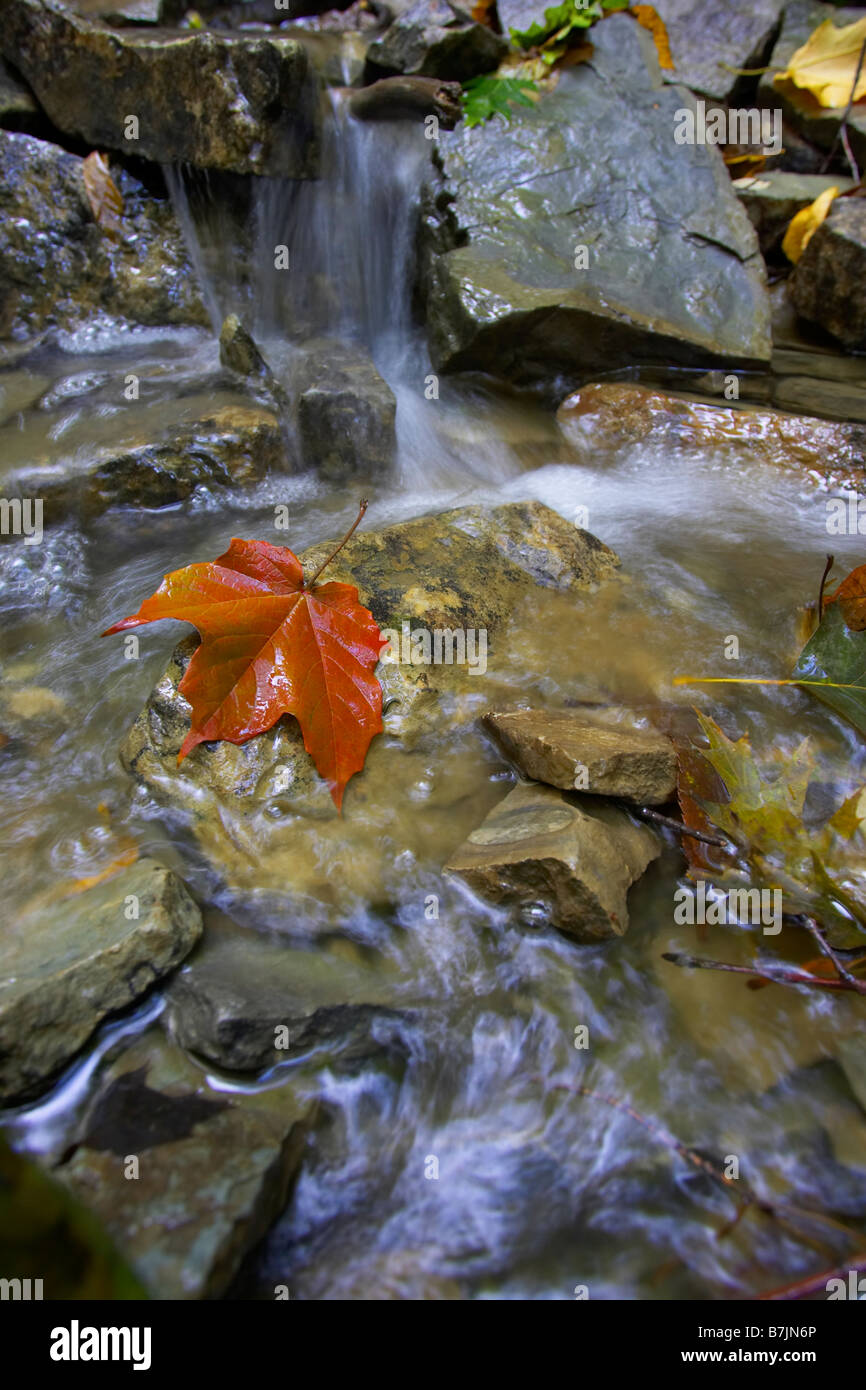 Hamilton creek photography hi-res stock photography and images - Alamy