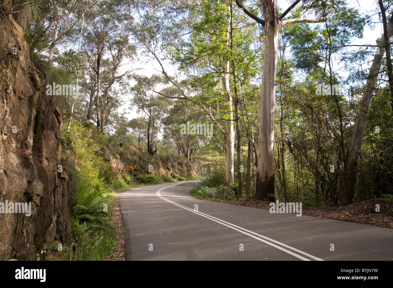 megalong valley road Road Blue Mountains New south Wales Australia ...