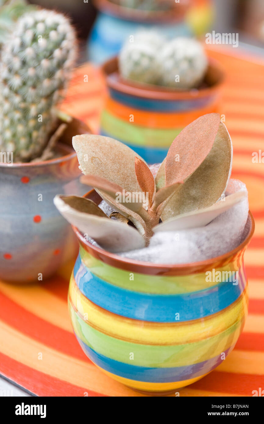 French pottery hi-res stock photography and images - Alamy
