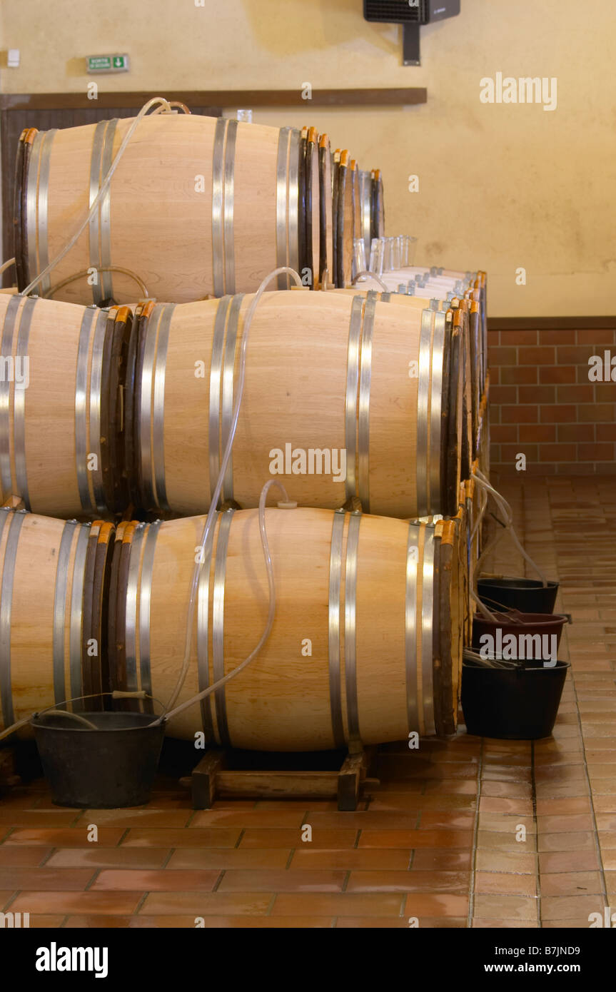 barrels with fermenting wine with tubes to collect overflow chateau ...