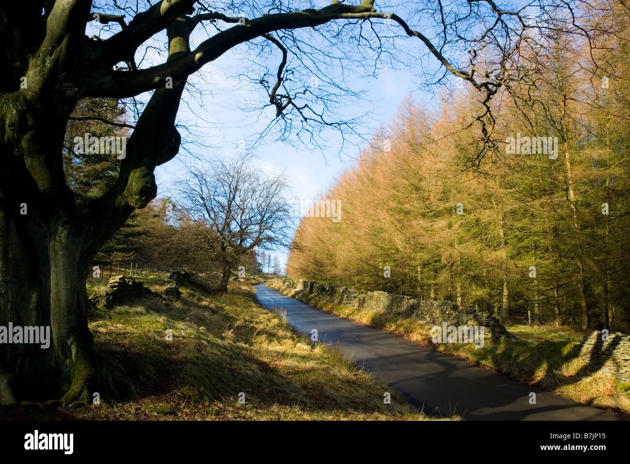 Goyt valley road hi-res stock photography and images - Alamy