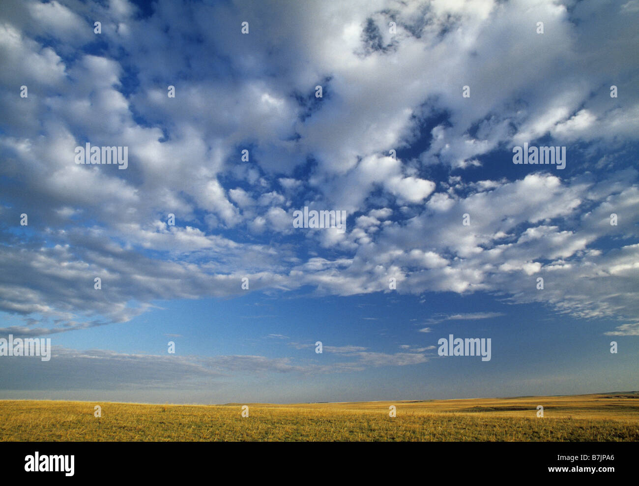 Milk river alberta hi-res stock photography and images - Alamy
