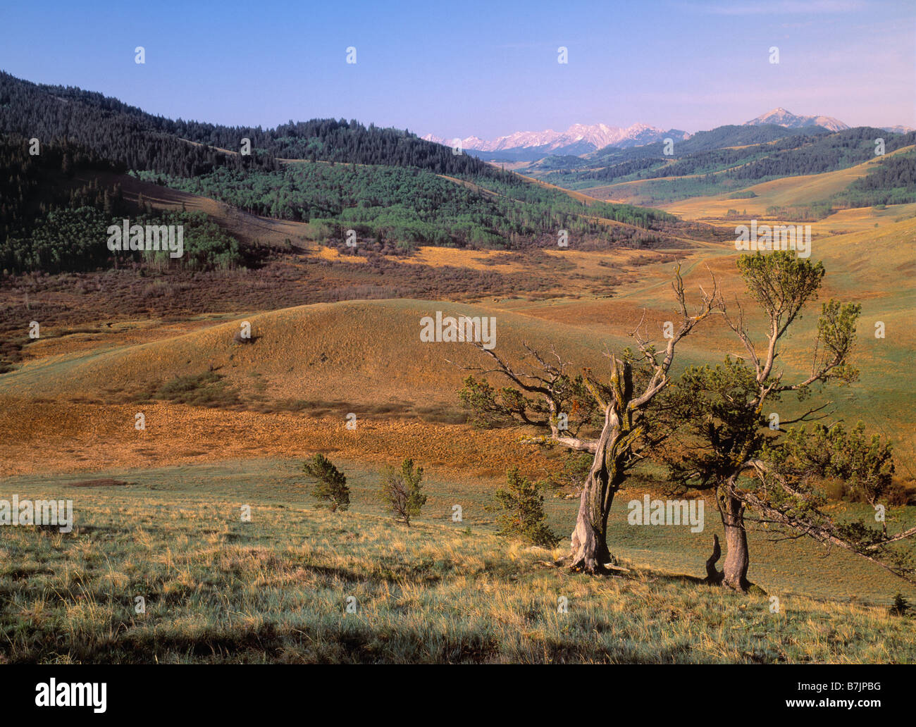 Whaleback hills hi-res stock photography and images - Alamy