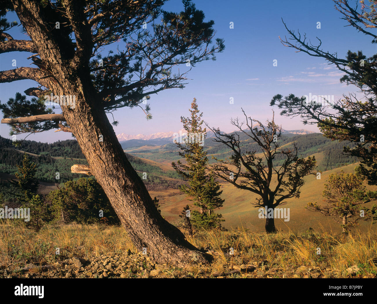 Whaleback hi-res stock photography and images - Alamy