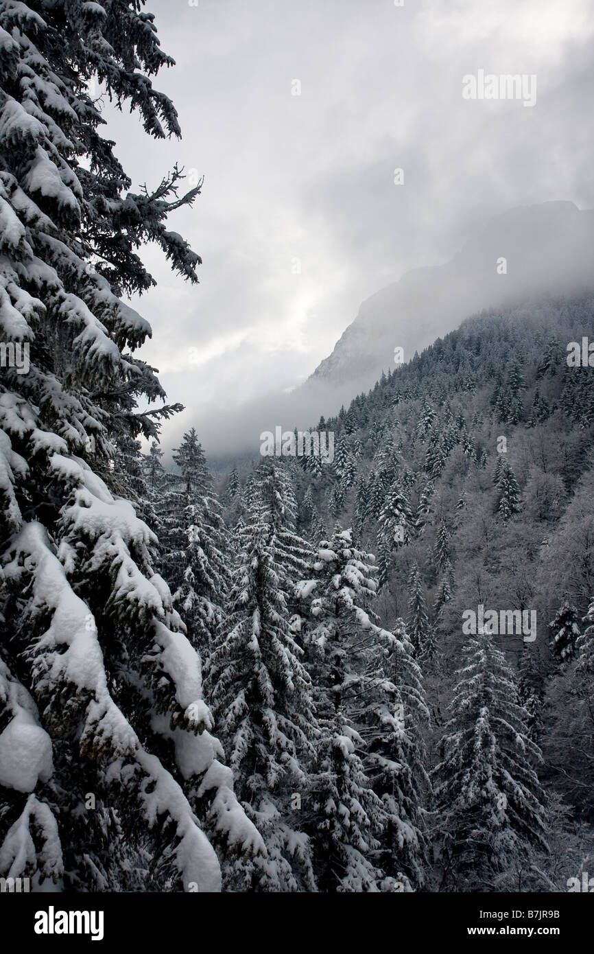 Snow covered mountains and trees hi-res stock photography and images ...