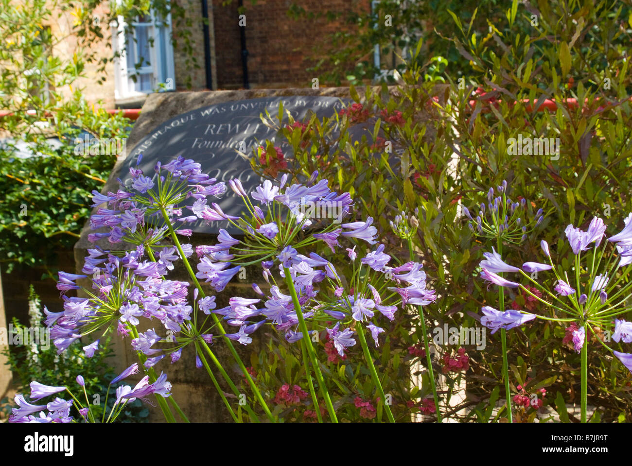 Oxford House High Resolution Stock Photography and Images - Alamy