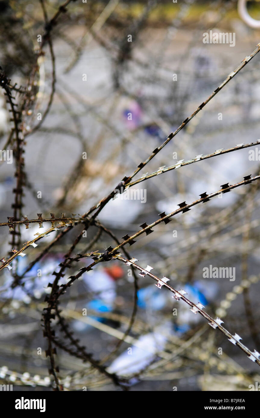 Razor wire barricades in Bangkok Thailand 2008 Stock Photo - Alamy