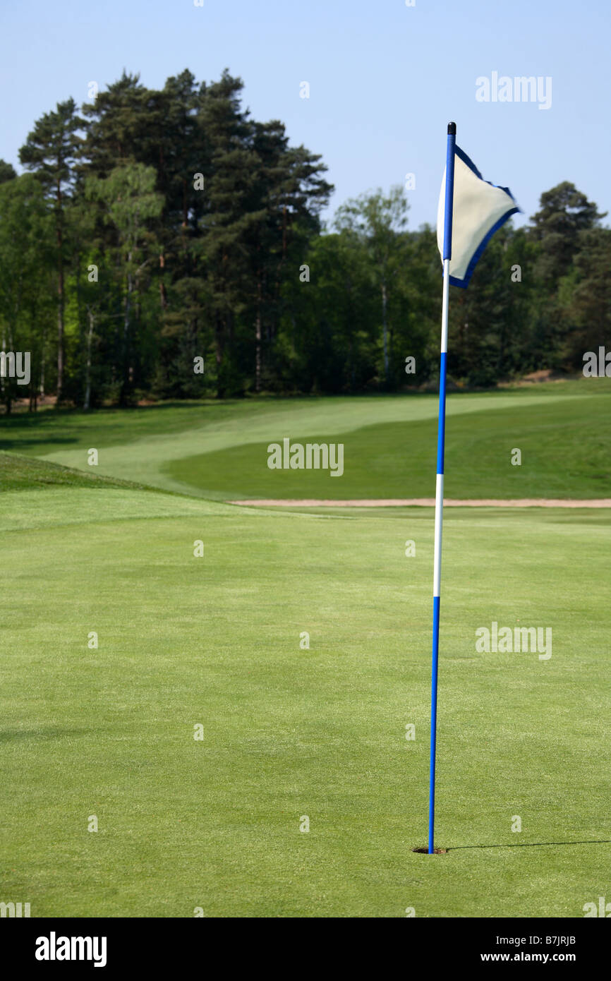 Golf flag in hole on green Stock Photo - Alamy