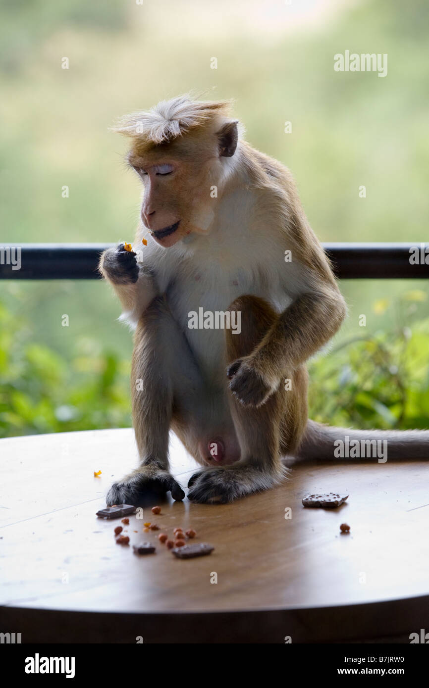 Dryzone hi-res stock photography and images - Alamy