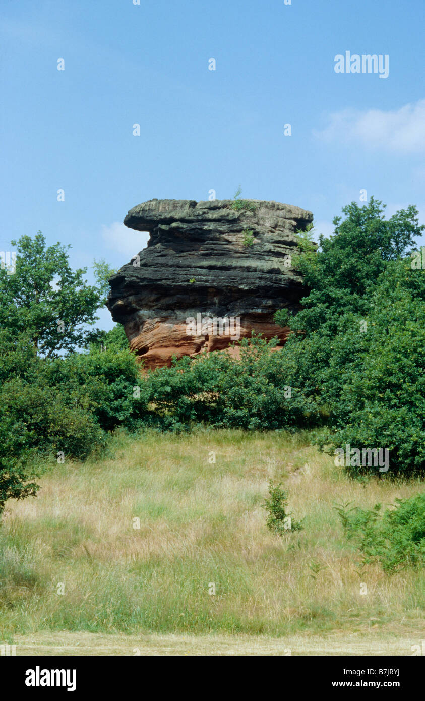 Hemlock Stone Green bushes and grass Blue sky STAPLEFORD ...