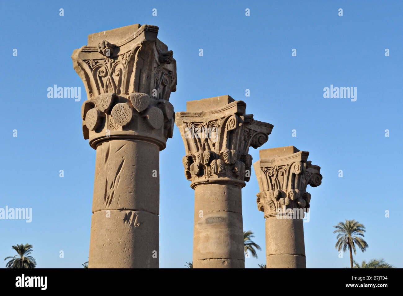 Coptic church captials Dendera Egypt 081115 32525 Stock Photo - Alamy