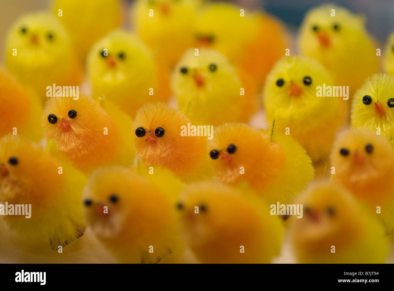 Easter chick cake decoration hi-res stock photography and images - Alamy